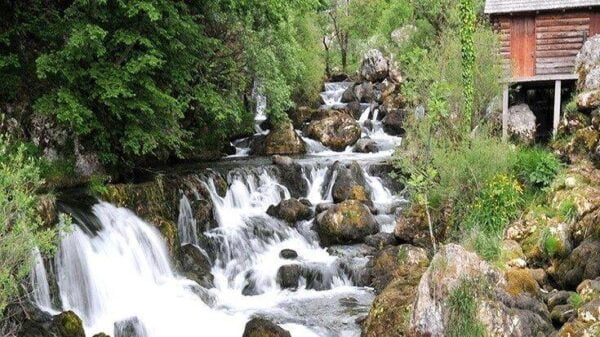 Krupa Cascades: Journey through Waterfall Wonders - GOOD HOST